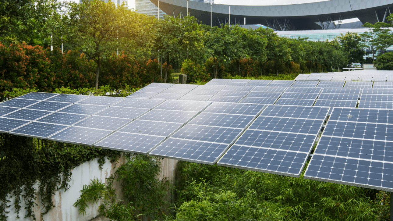 Press Release Archives - Jentayu Sustainables