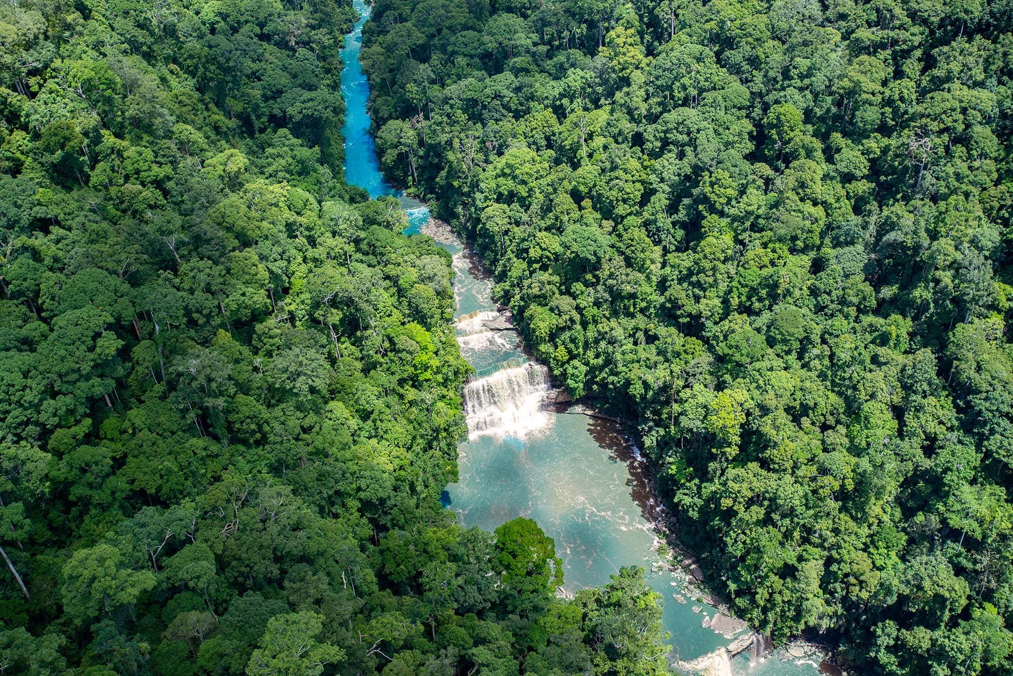 Home - Jentayu Sustainables